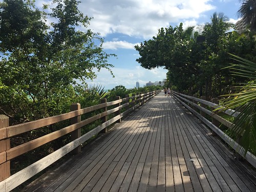 Miami Running Routes | the biostation Miami, Delray, & Boca