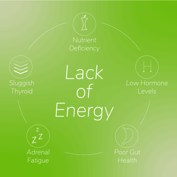 lack of energy - the biostation