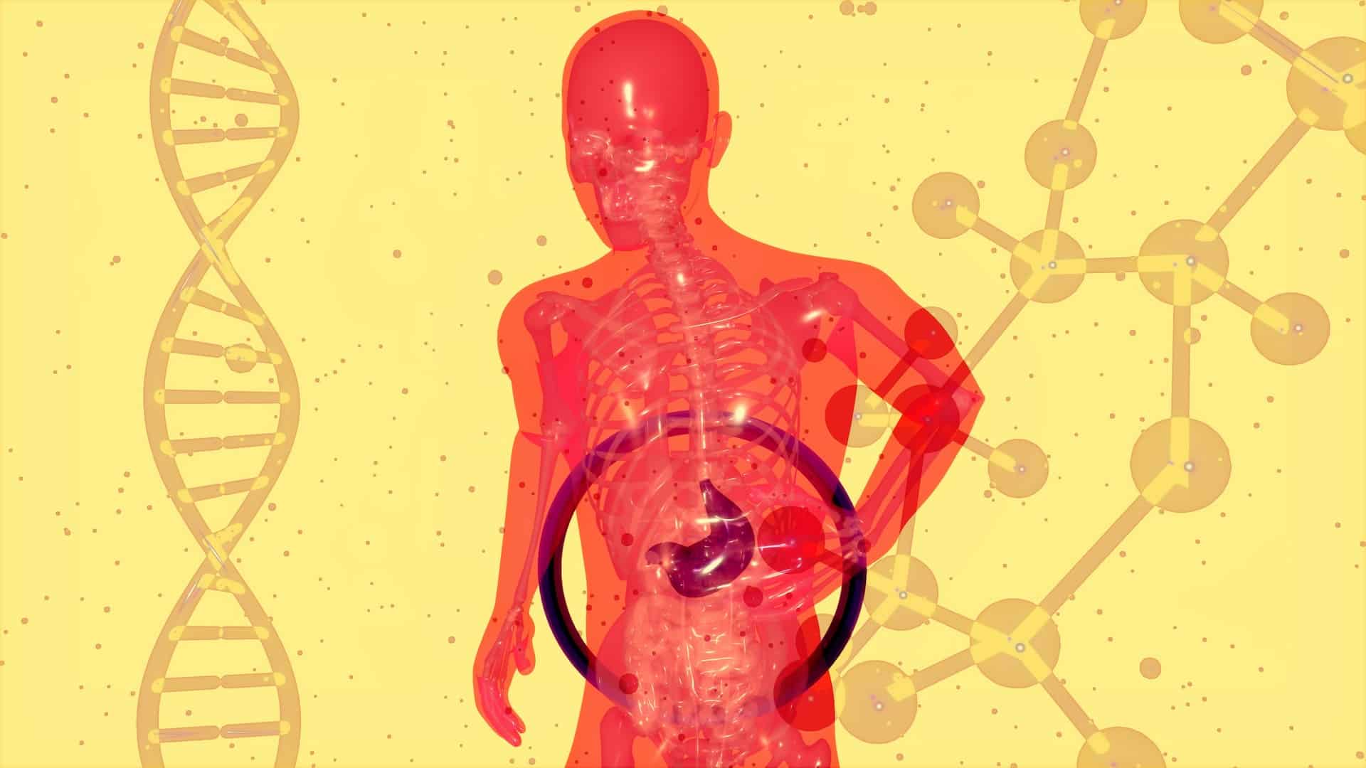 7 Benefits of a Liver Detox | the biostation